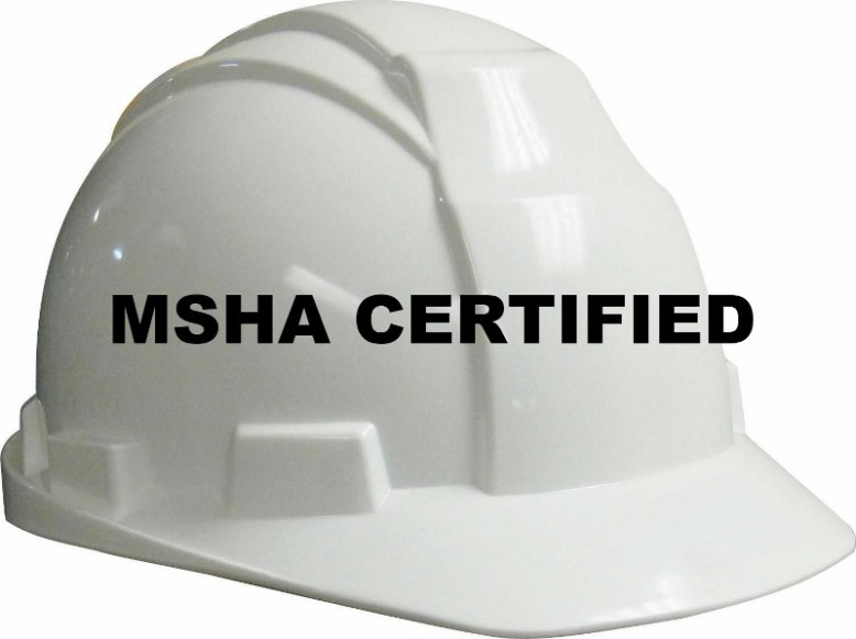 MSHA Logo (800×598)